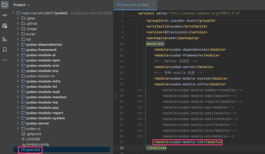 功能开启 | ruoyi-vue-pro 开发指南