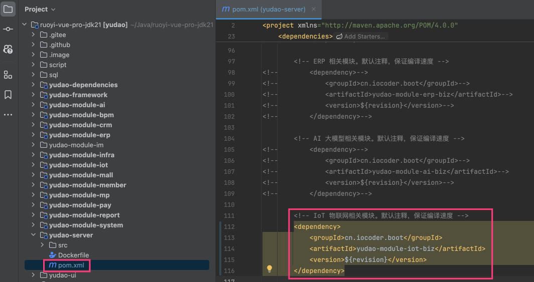 功能开启 | ruoyi-vue-pro 开发指南